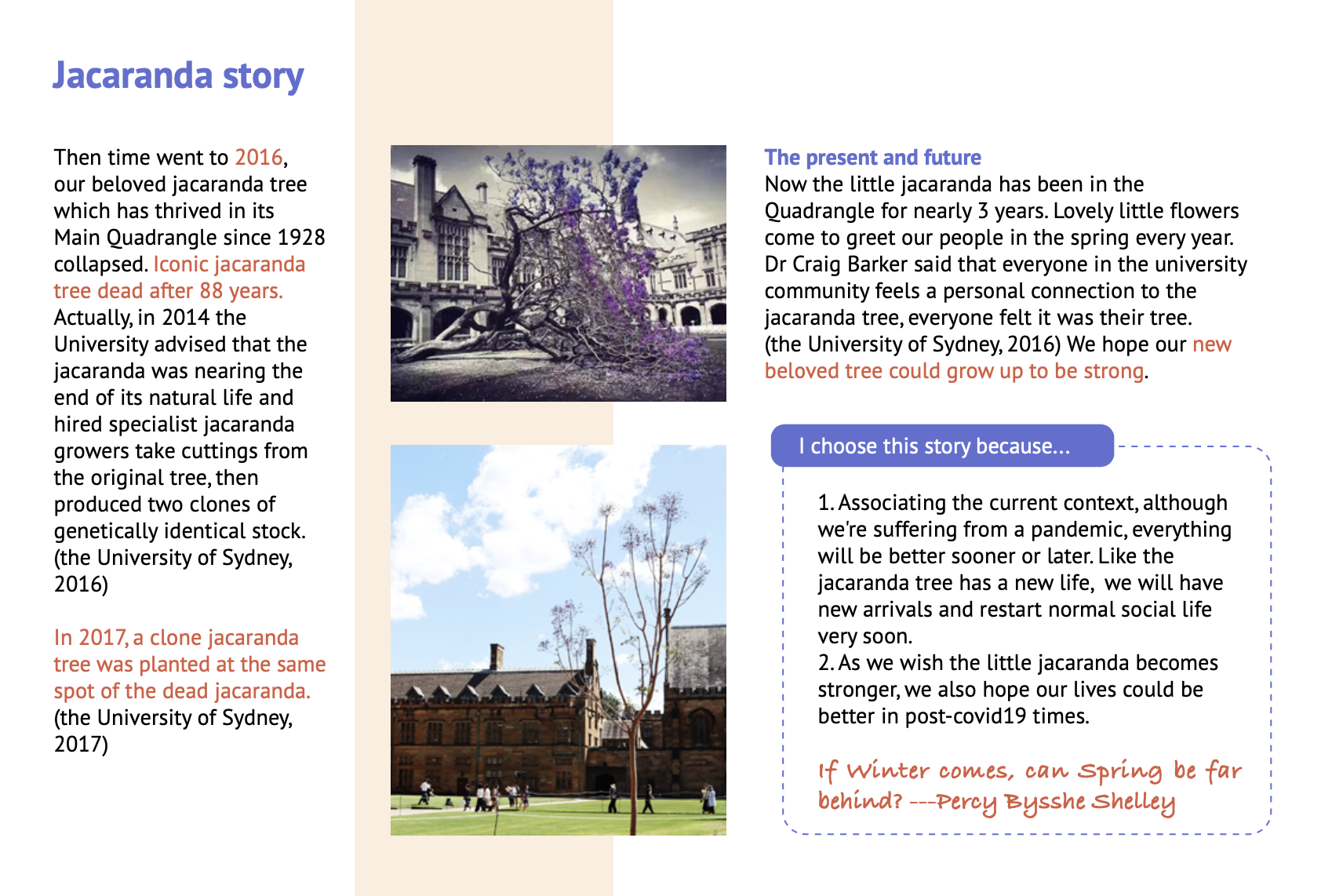 With Jacaranda - Design